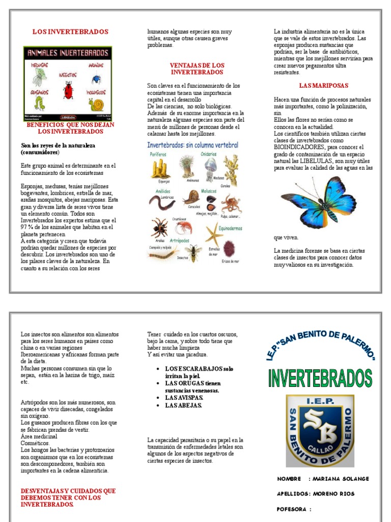 Triptico 3 | PDF | Invertebrado | Insectos