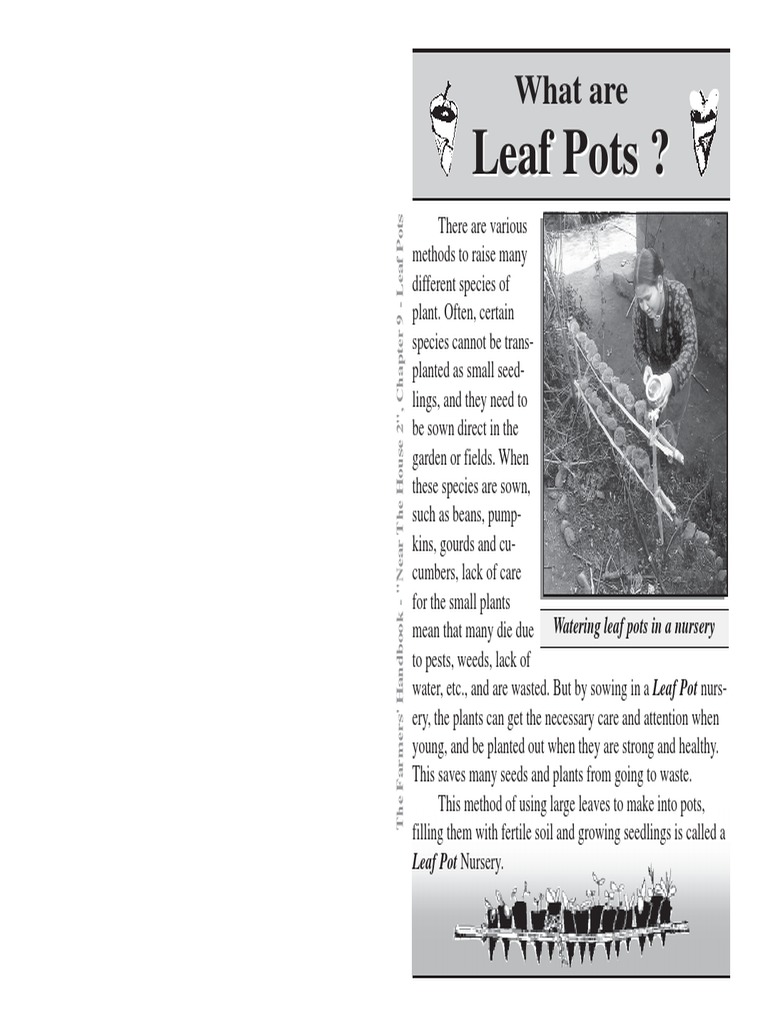 9 Leaf Pots | PDF