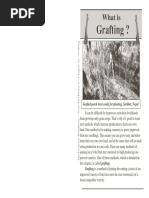 Asexual Propagation by Inarching | PDF | Grafting | Trees