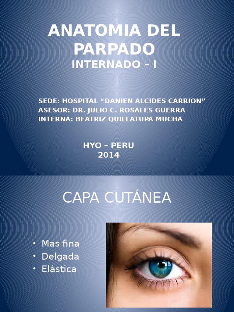 Anatomia Del Parpado | PDF