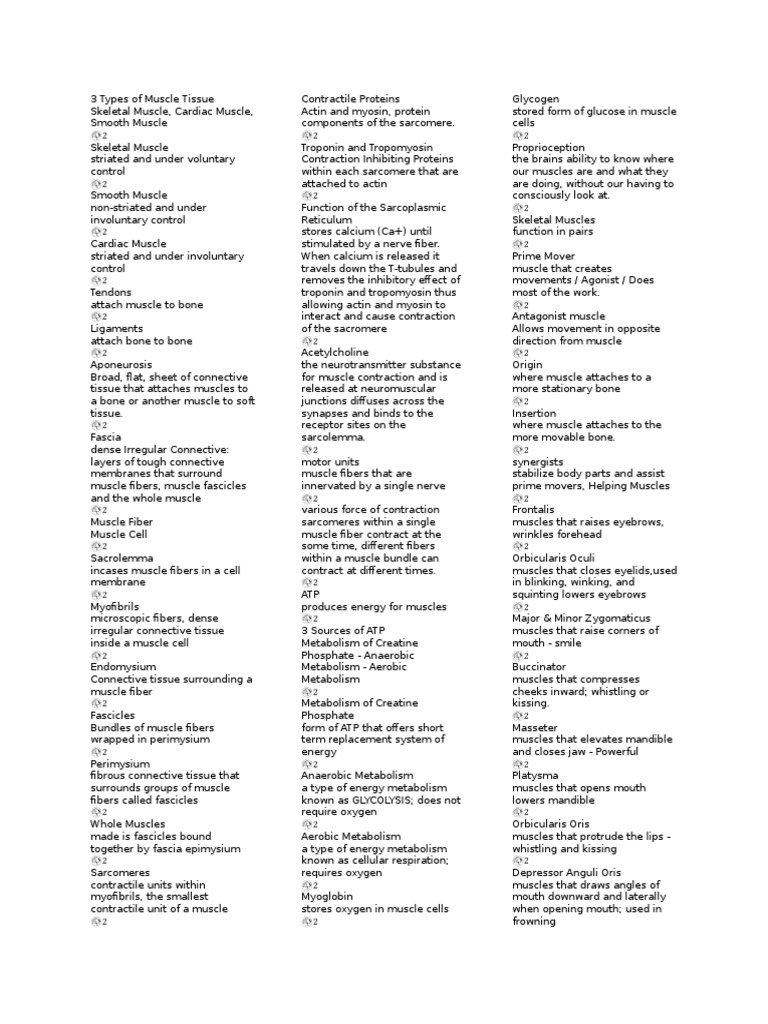 Muscle Tissue Types & Functions | PDF | Muscle Contraction | Myocyte