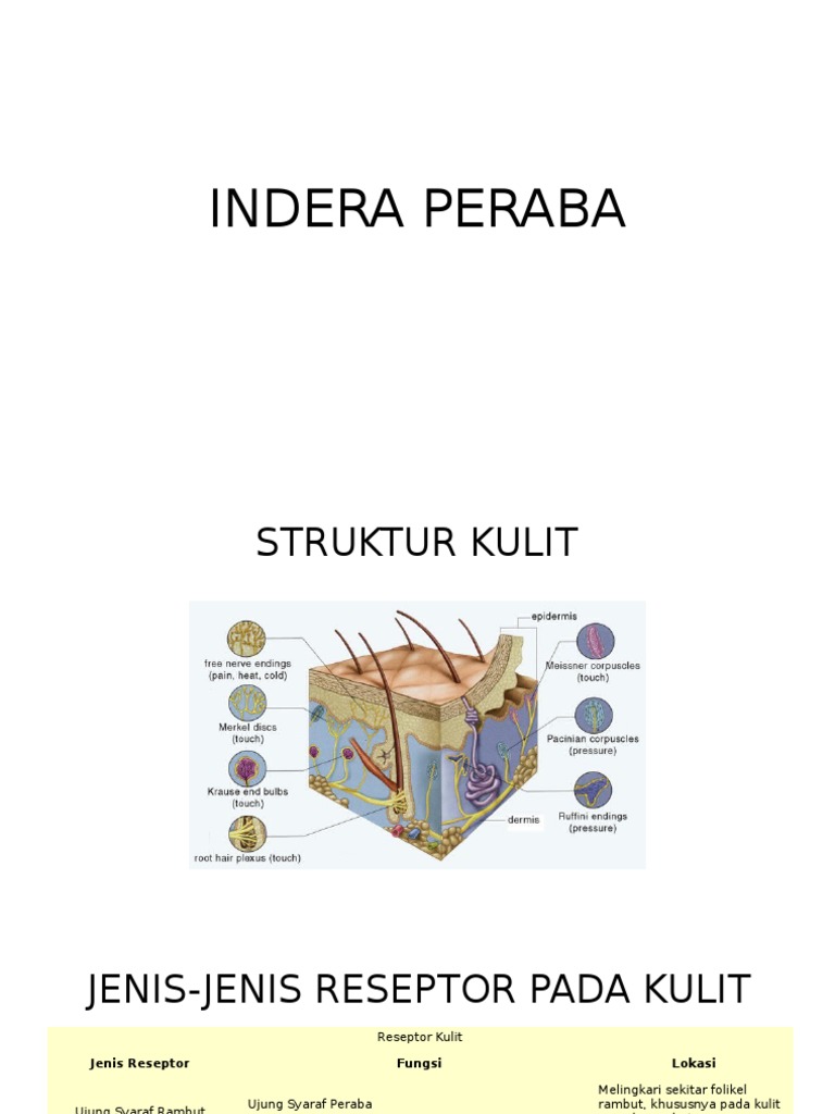 Indera Peraba | PDF | Hukum
