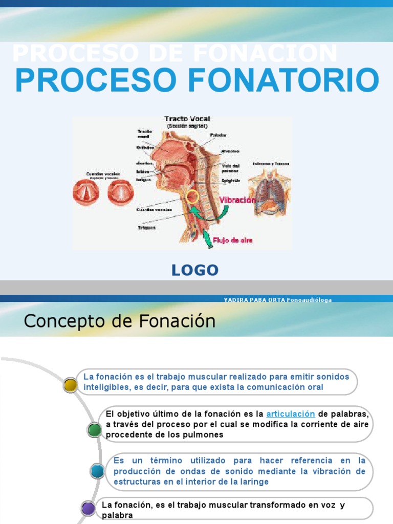 Proceso de Fonacion | Vocal | Sonido