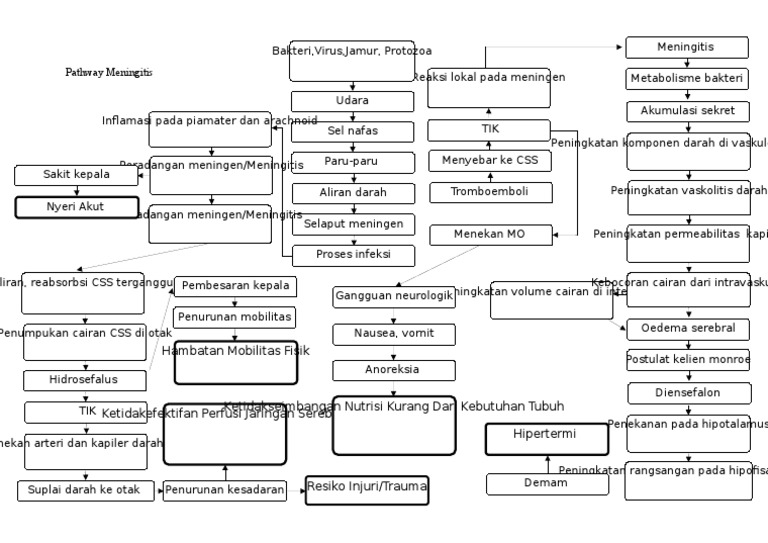 Pathway Meningitis | PDF