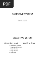 Elephant GI Anatomy & Physiology | PDF | Gastrointestinal Tract | Digestion