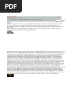 Lacerta Files PDF | PDF