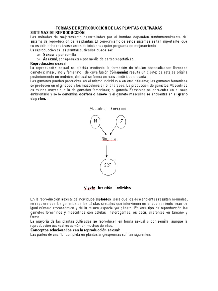 Plantas Cultivadas Autogamas | PDF | Reproducción | Mitosis