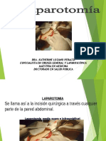 Posición de Roser o Proetz | PDF | Inflamación | Biología Celular)