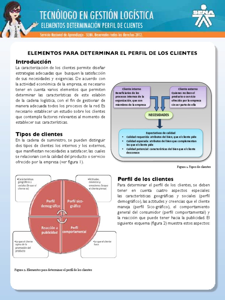 Elementos Determinacion Perfil de Clientes | PDF | Cliente | Calidad ...