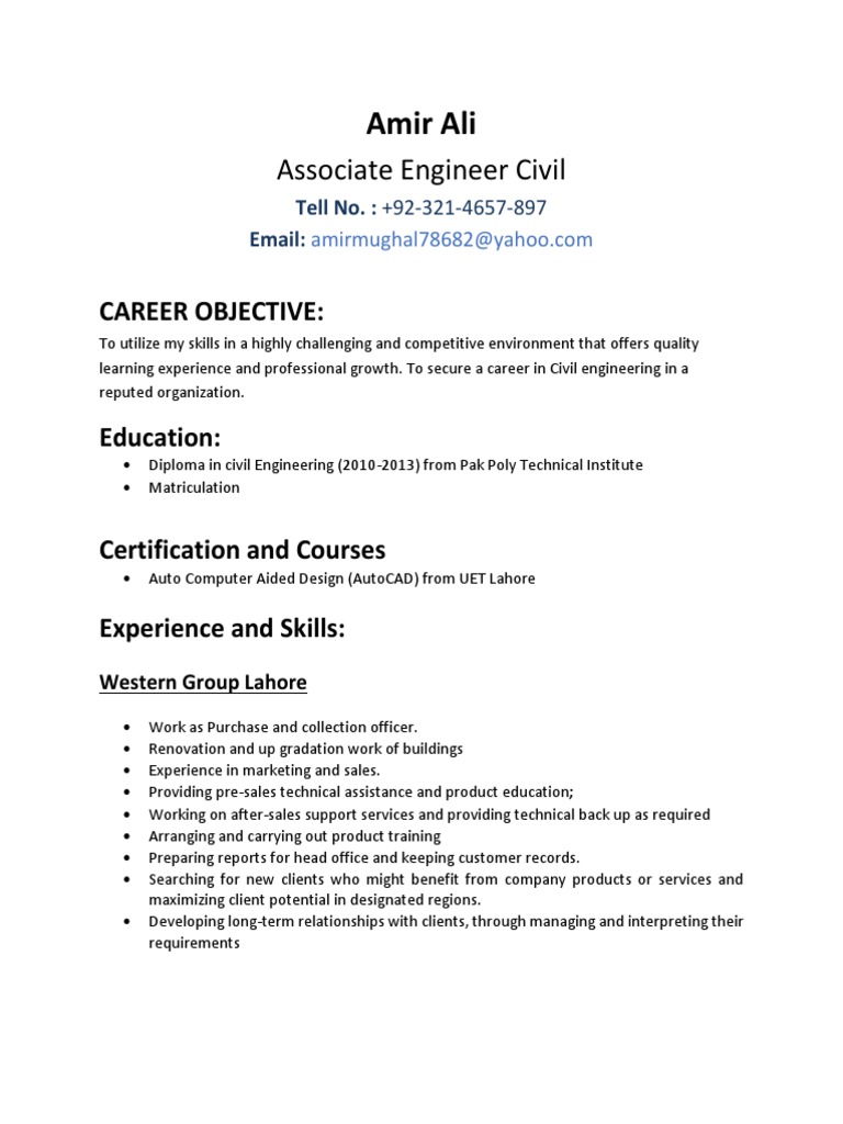 Amir Ali: Associate Engineer Civil | PDF | Business