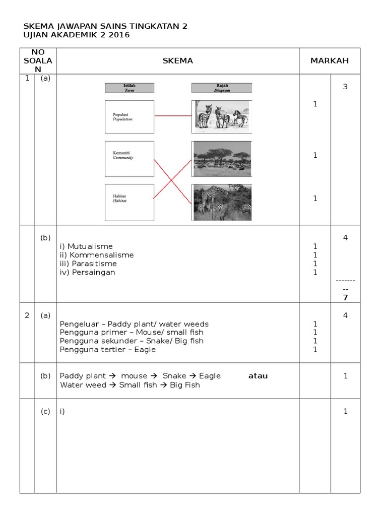 Skema Jawapan Sains Tingkatan 2 | PDF