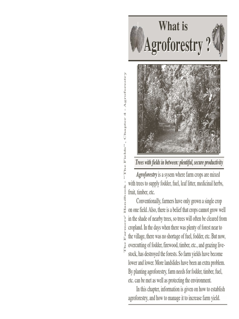 4 Agroforestry PDF | PDF