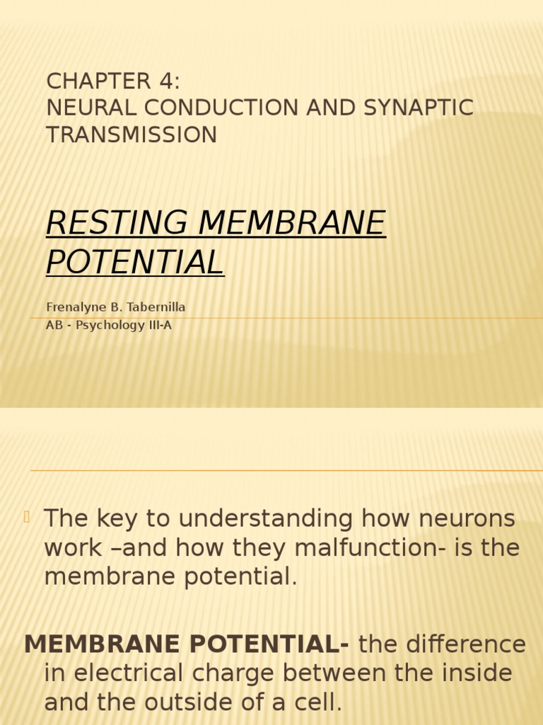 Resting Membrane Potential Explained | PDF | Membrane Potential | Neuron