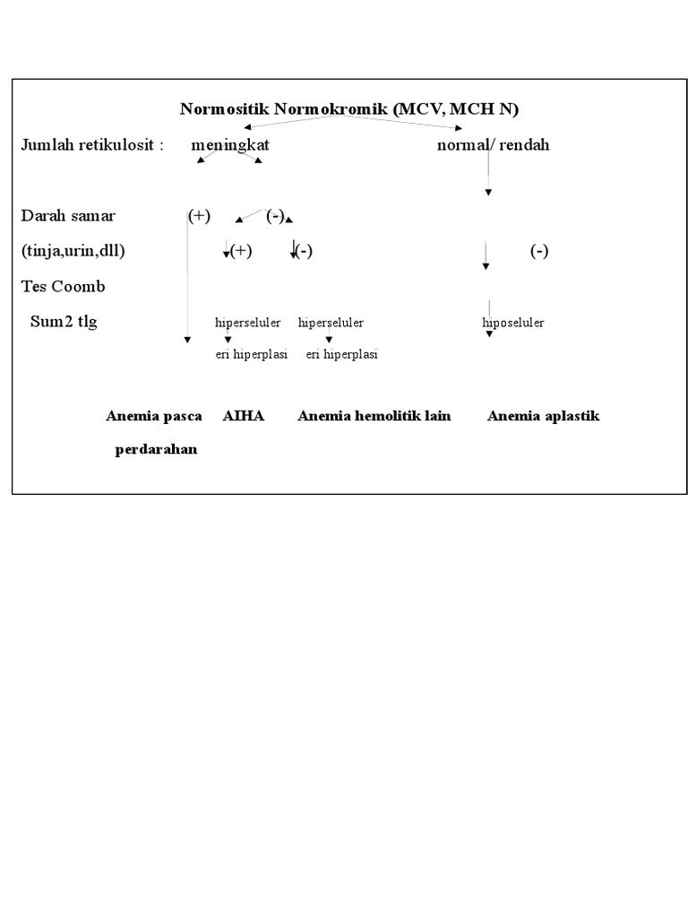 Anemia Types: Normocytic Normochromic (MCV, MCH N | PDF | Clinical ...