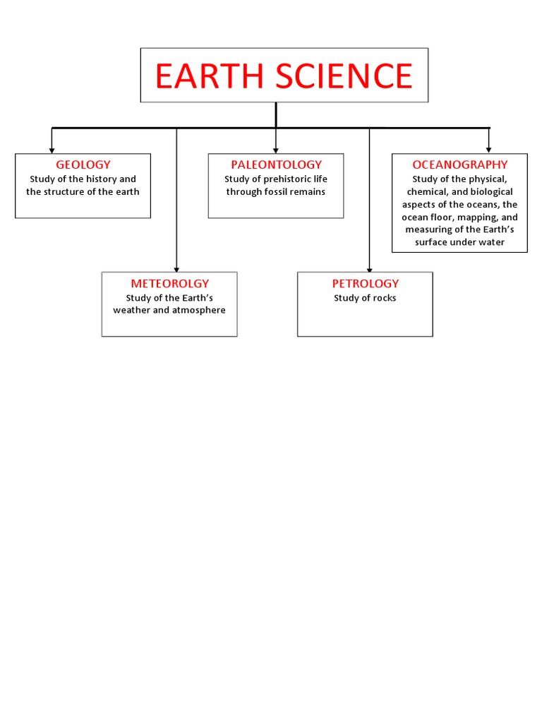 Science Flow Chart | PDF | Biology | Zoology