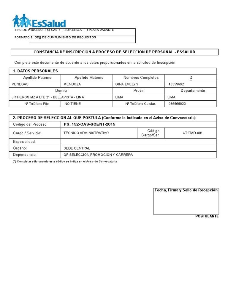 Formato1 Cargo | PDF