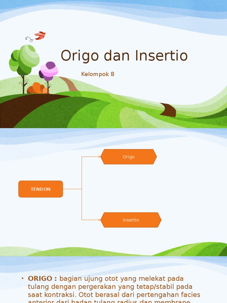 Origo dan Insertio Otot Wajah dan Leher | PDF
