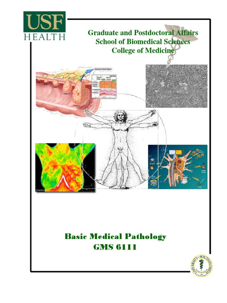 GMS 6111 Basic Medical Pathology Synopsis 2016 Fall | PDF ...