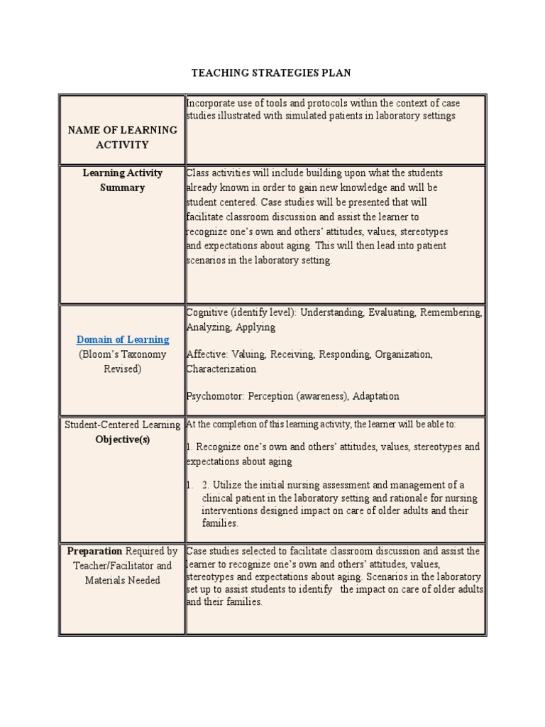 Teaching Strategies Plan | PDF | Learning Styles | Learning