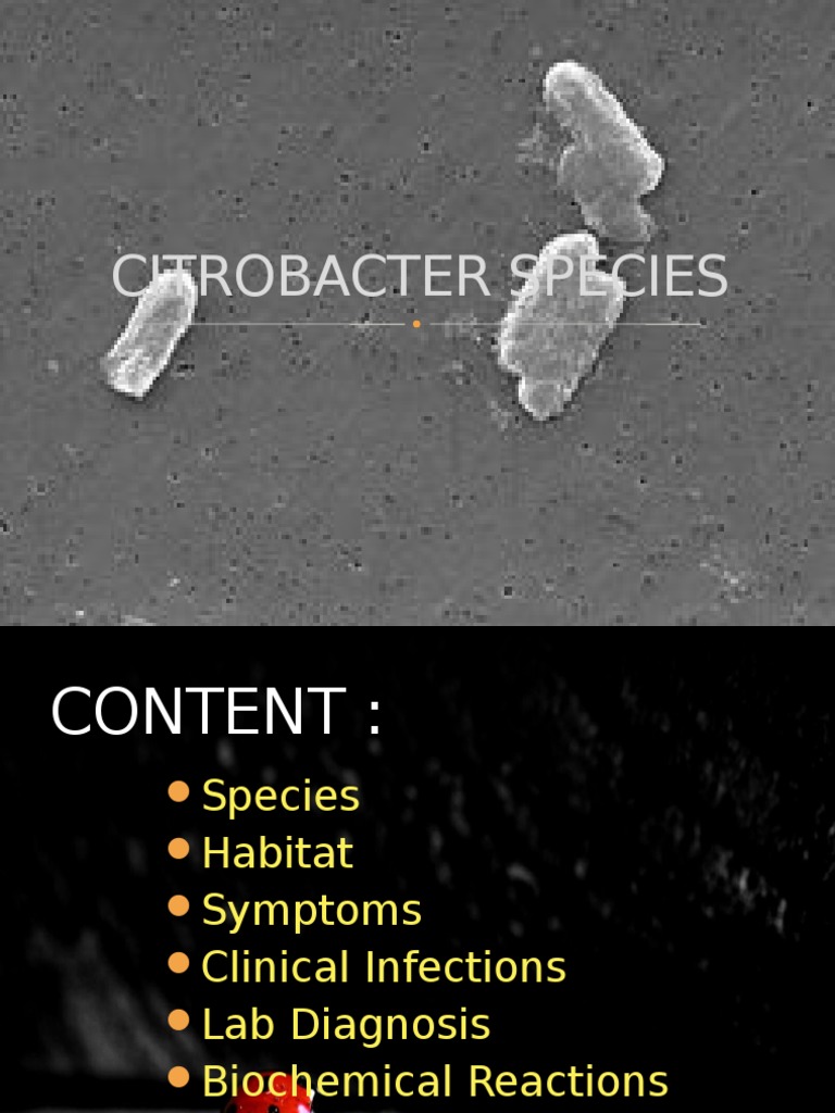 Lec 10citrobacter SPP | PDF | Science & Mathematics