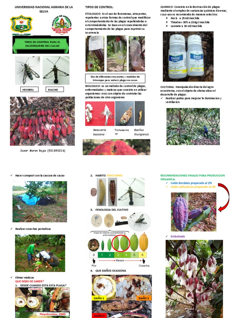 Control de Carmenta | PDF