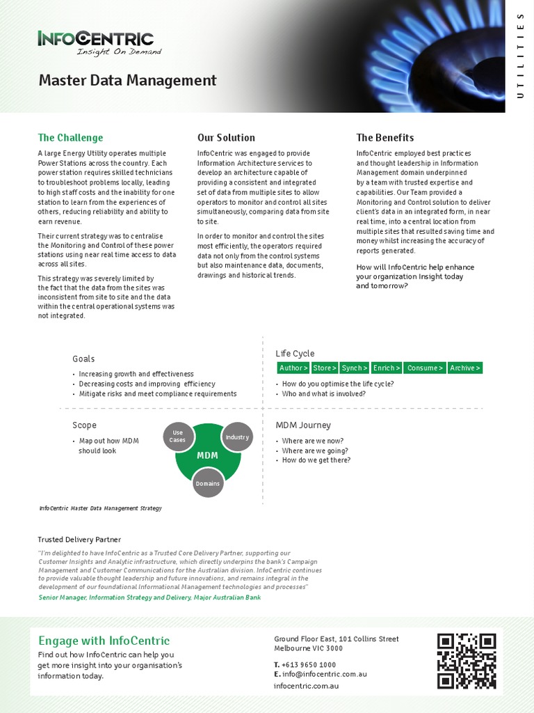 UTILITIES Master Data Management | PDF | Strategic Management | Product ...