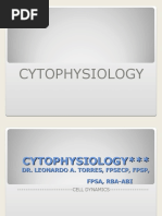 Aaos Rom Values | PDF | Anatomical Terms Of Motion | Limbs (Anatomy)