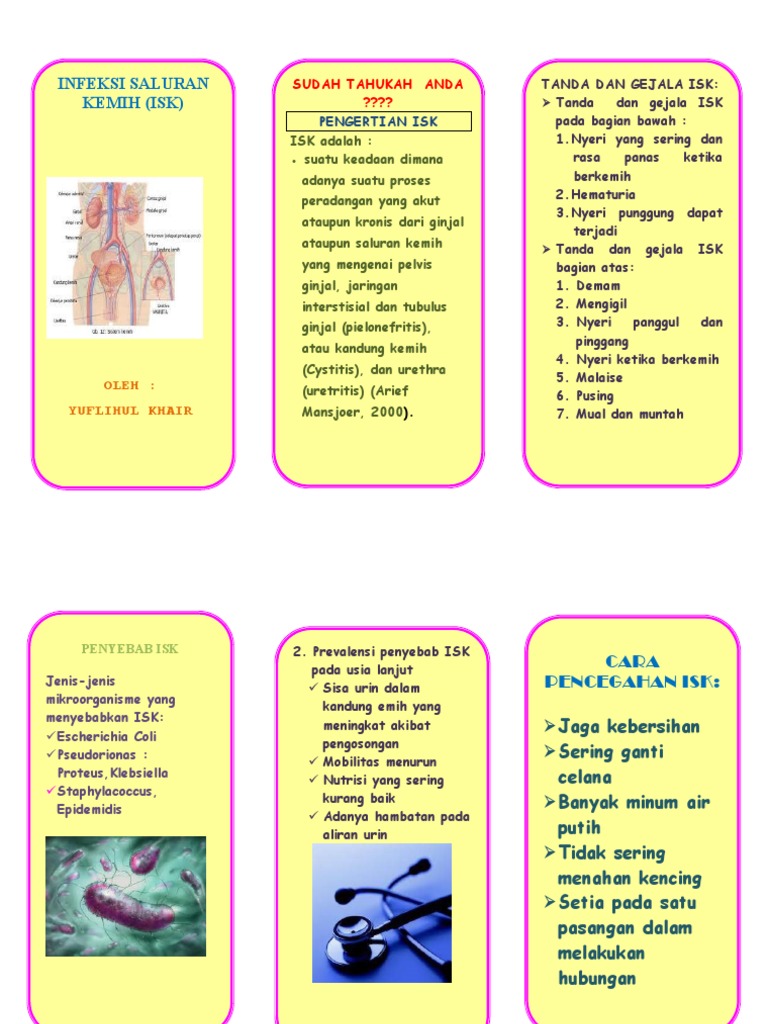Leaflet Isk PDF | PDF | Kesehatan Holistik