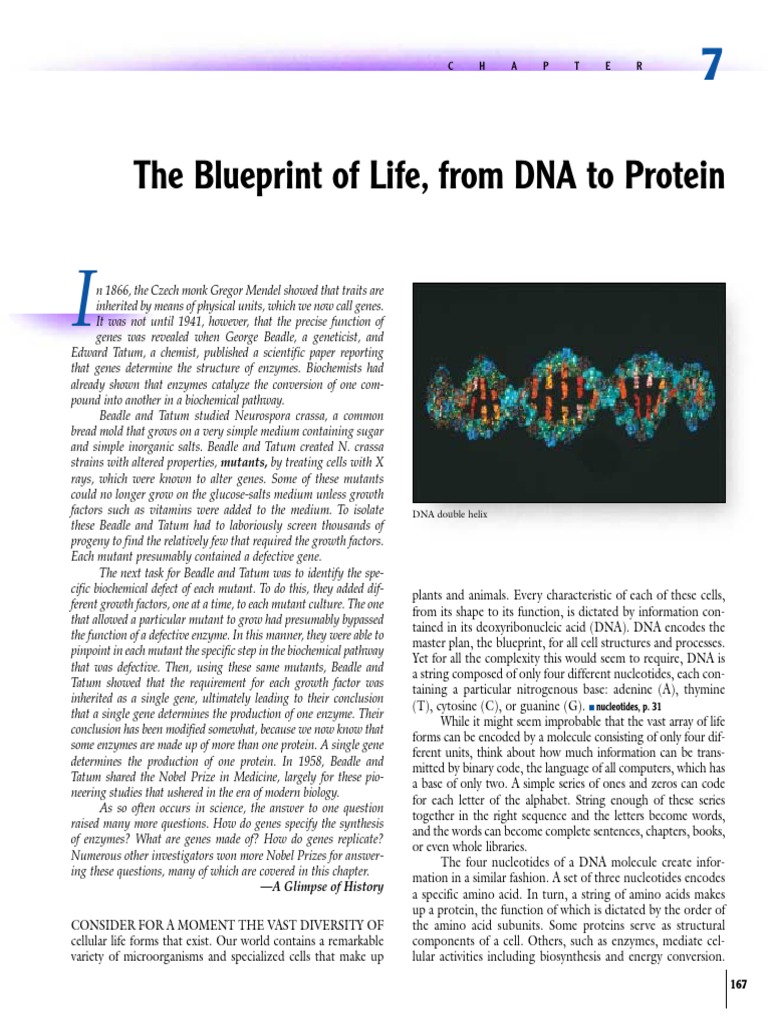Biology | PDF | Translation (Biology) | Directionality (Molecular Biology) Biology | PDF | Translation (Biology) | Directionality (Molecular Biology)