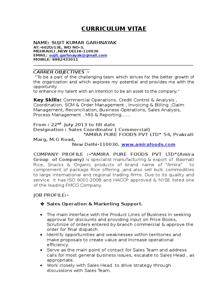 CV Sujit Updated | PDF | Invoice | Business