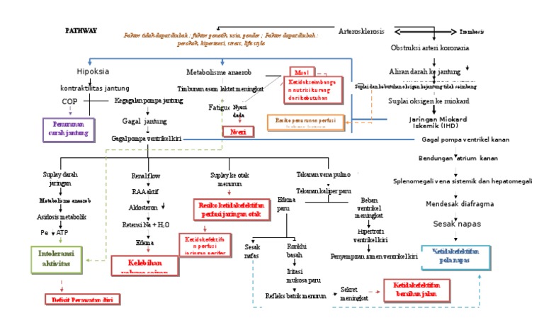 Ihd Pathway | PDF