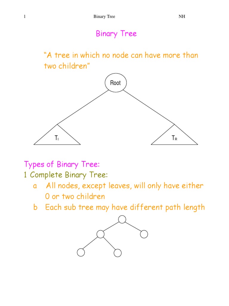 Binary Tree Lesson | PDF | Mathematical Logic | Theoretical Computer Science