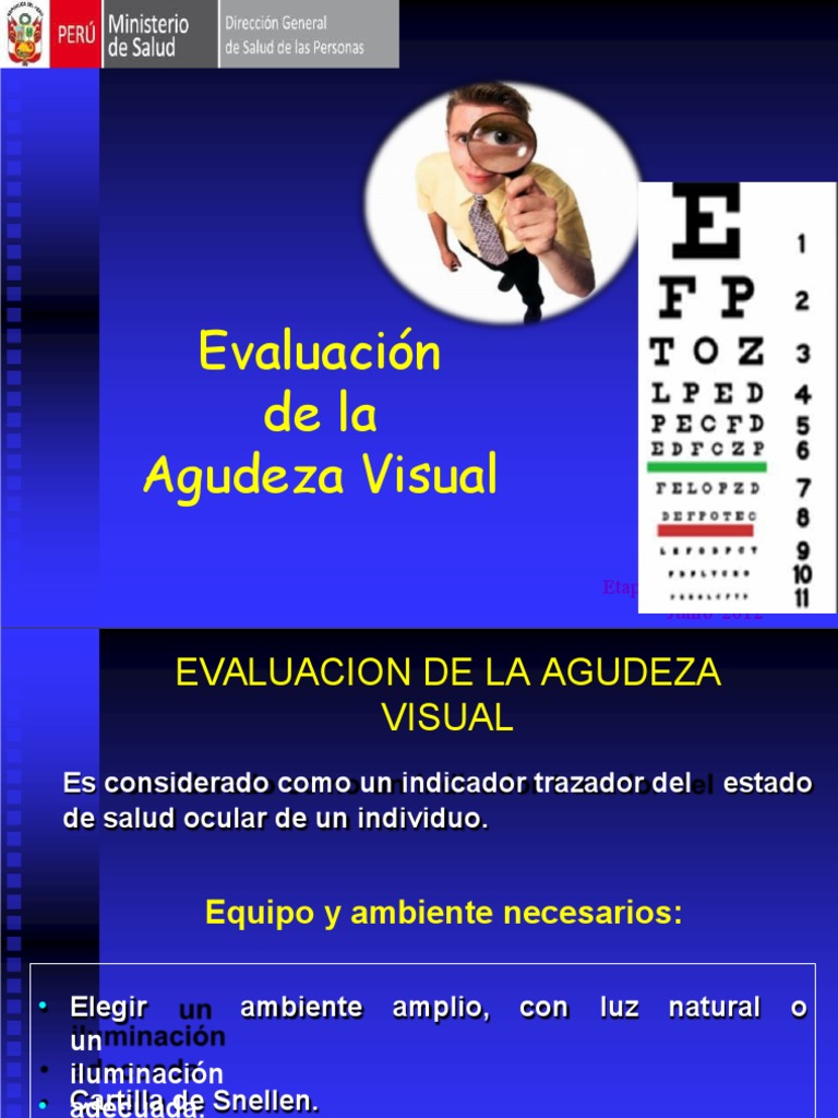 Agudeza Visual | PDF | Sentidos | Sistema visual