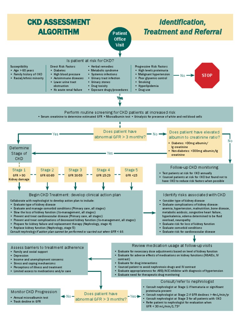 algoritma ckd.pdf | Chronic Kidney Disease | Renal Function