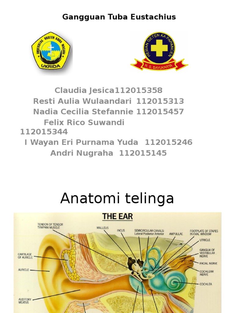 Gangguan dan Penanganan Tuba Eustachius | PDF