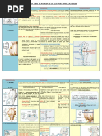 Niveles Axilares de Berg