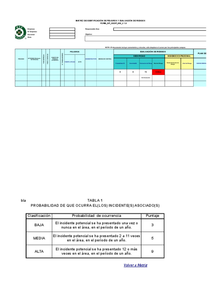 Formato Matriz IPER | PDF