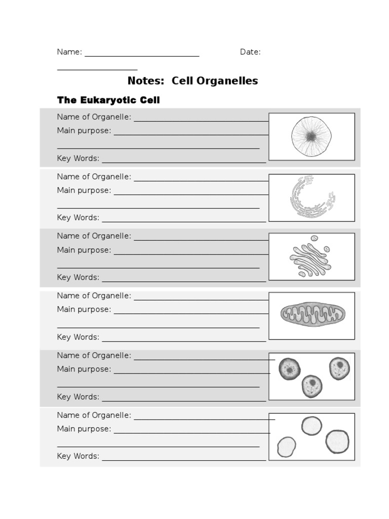 2 Cell Organelles Notes | PDF