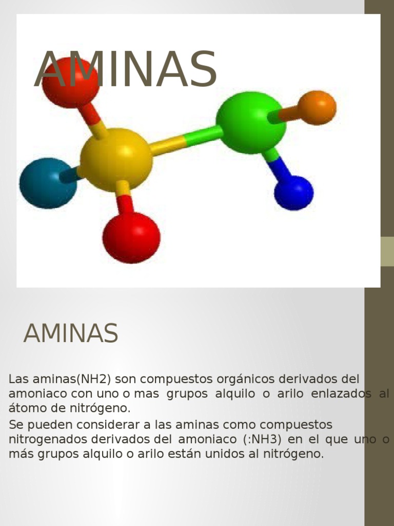 Exposicion de Aminas | PDF | Amina | Compuestos orgánicos