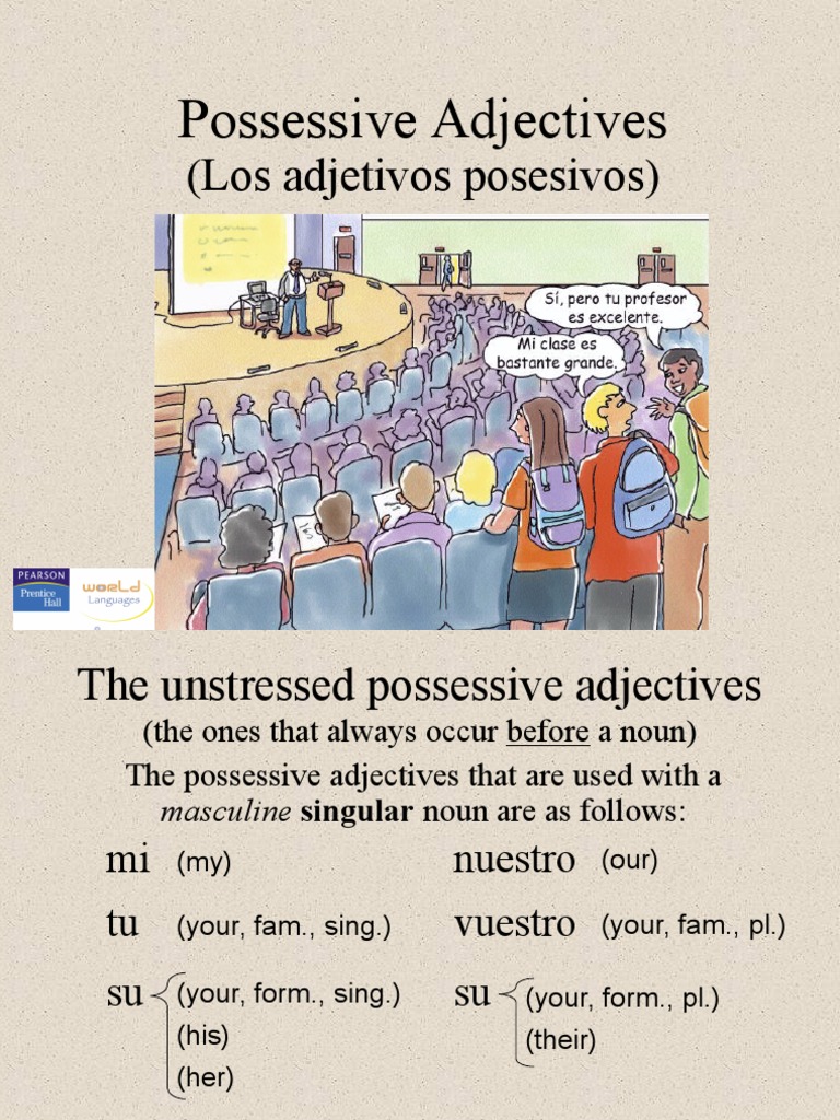 Possessive adjectives.ppt | Adjective | Grammatical Number