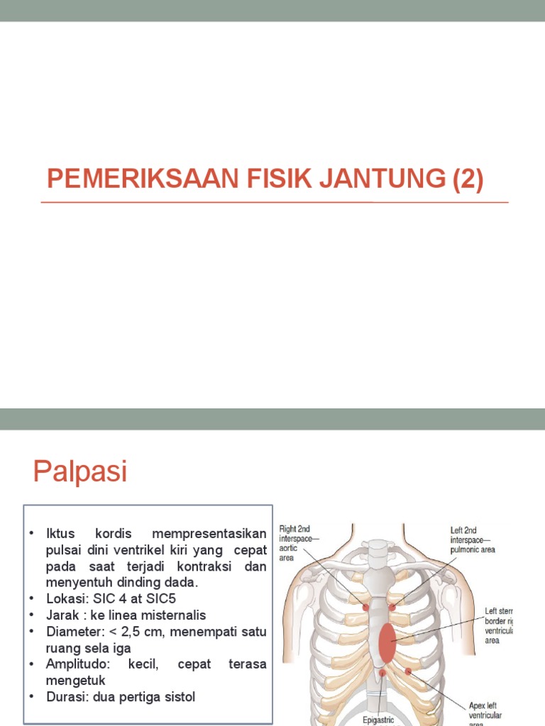 Pemeriksaan Fisik Jantung | PDF