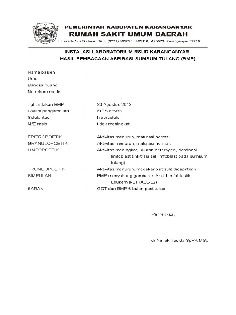 Hasil Bmp All Pdf
