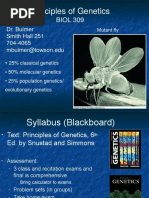 Amoeba Sisters: Alleles and Genes Recap | PDF | Genotype | Allele