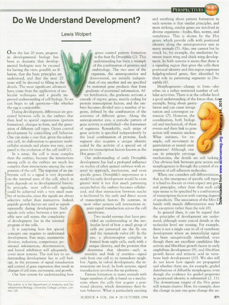 Wolpert, L. - 1994 - Do We Understand Development | PDF | Cell ...