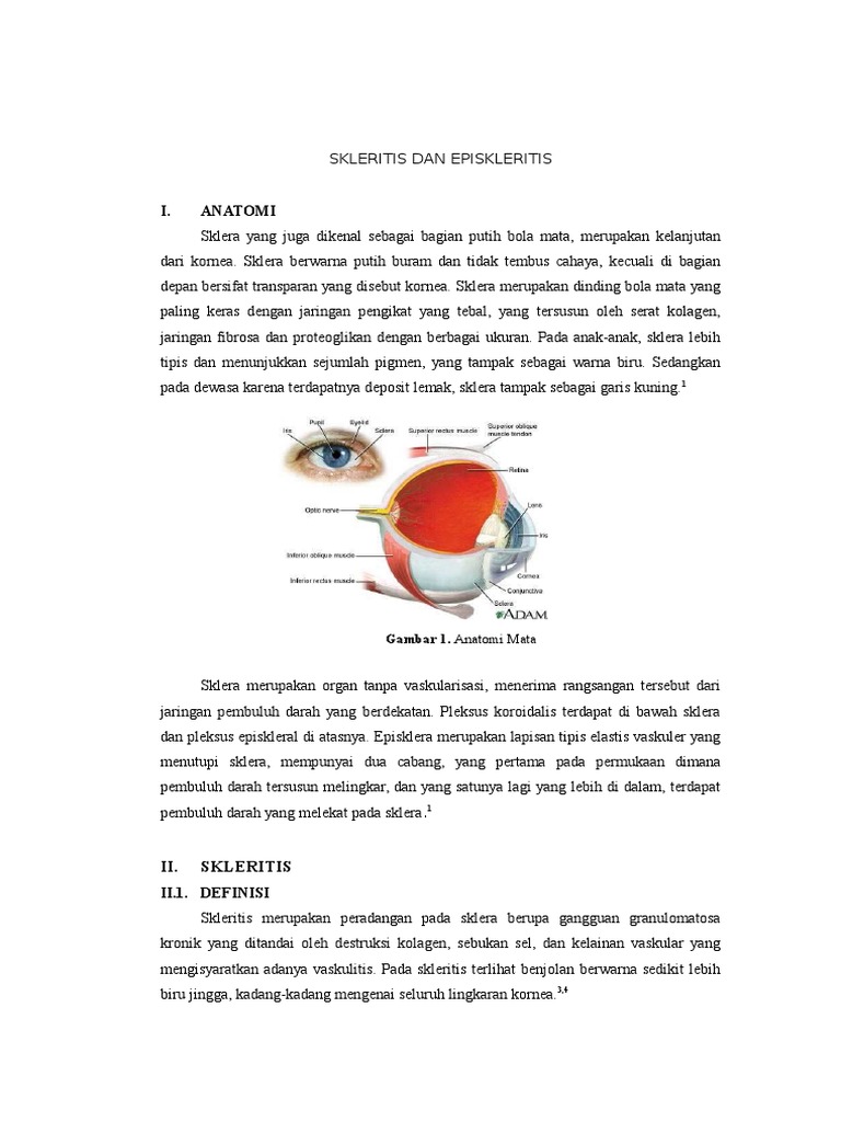 Perbandingan Skleritis dan Episkleritis | PDF