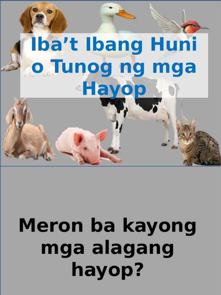 Iba't Ibang Tunog o Huni NG Mga Hayop | PDF