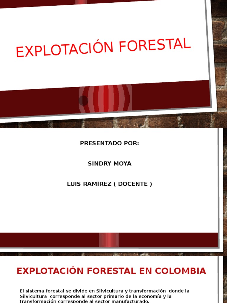 Explotación Forestal | PDF