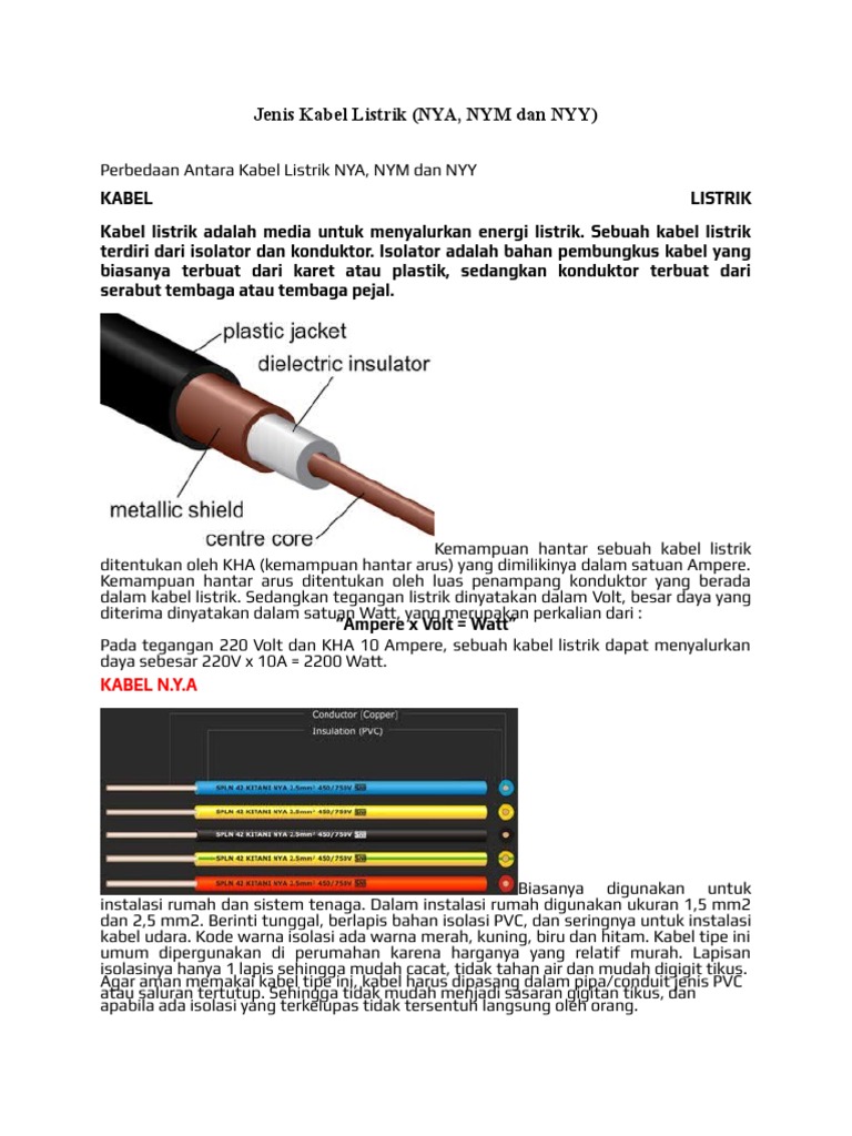 Bagus - Nya, Nyy & Nym | PDF