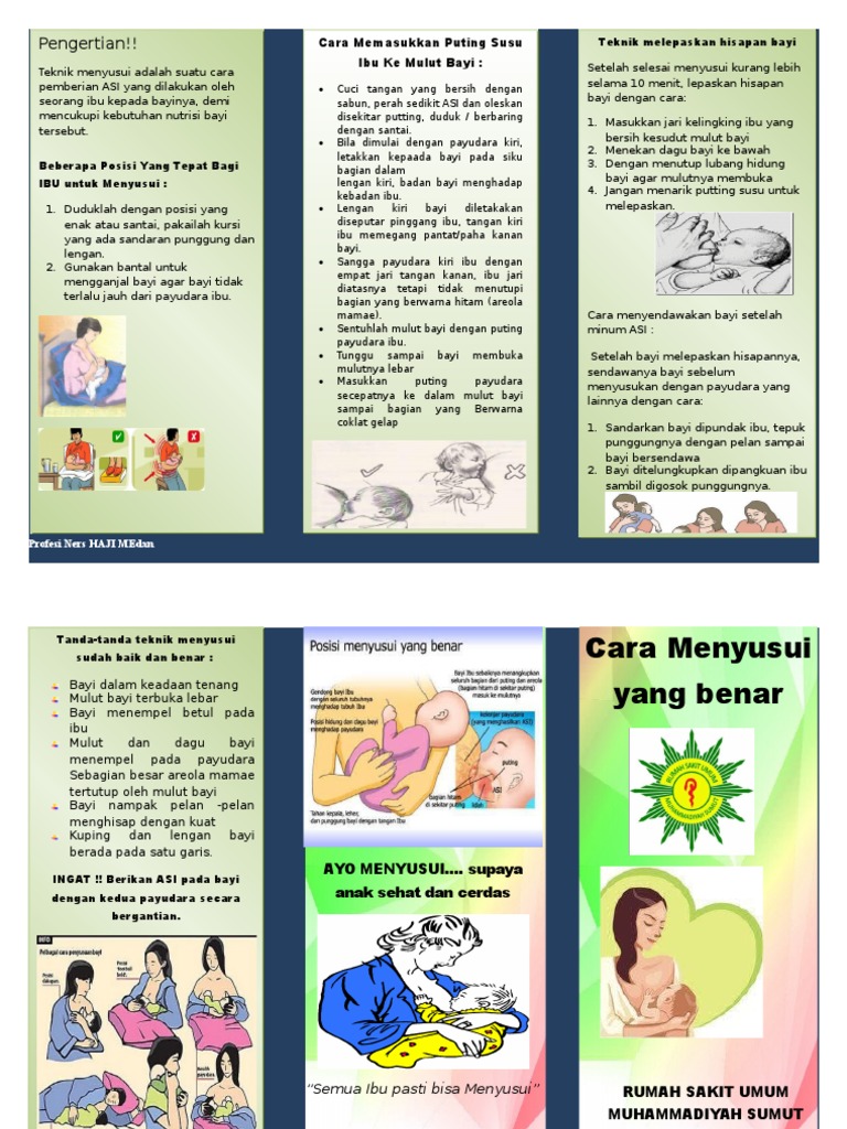 Leaflet Cara Menyusui Yang Benar | PDF | Kesehatan Holistik