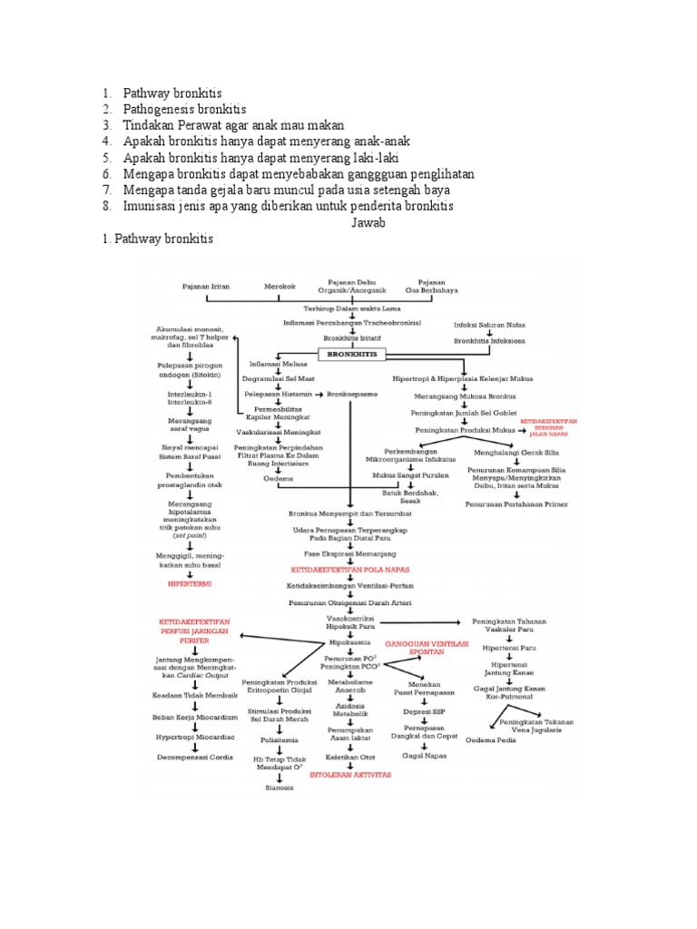 Pathway Bronkitis | PDF